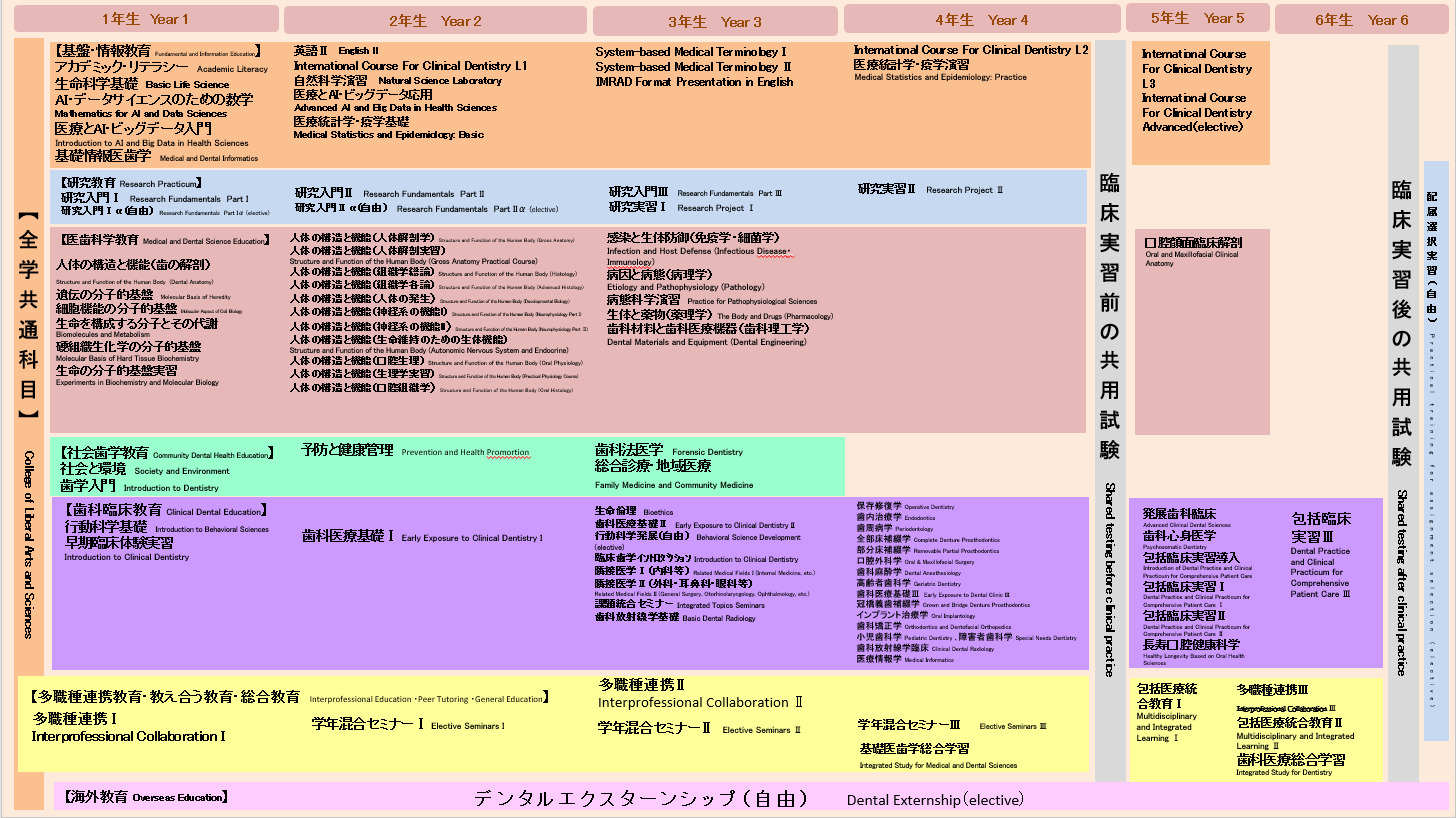 School of Dentistry｜Tokyo Medical and Dental University, Faculty of ...