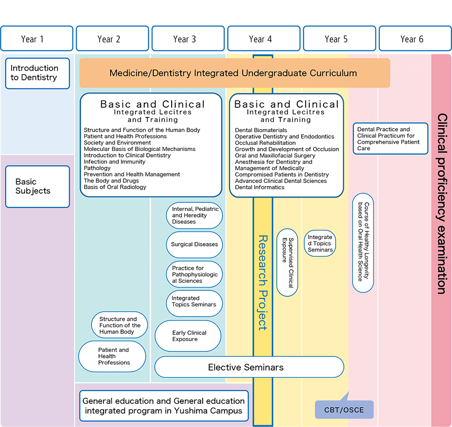 School of Dentistry｜Tokyo Medical and Dental University, Faculty of ...